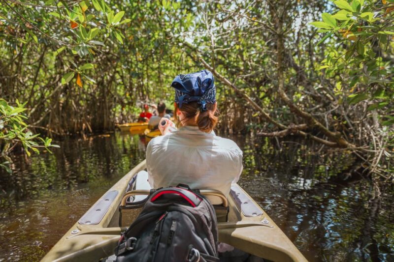 Everglades National Park: Mangrove Tunnel Kayak Eco-Tour - What’s Included and What to Expect