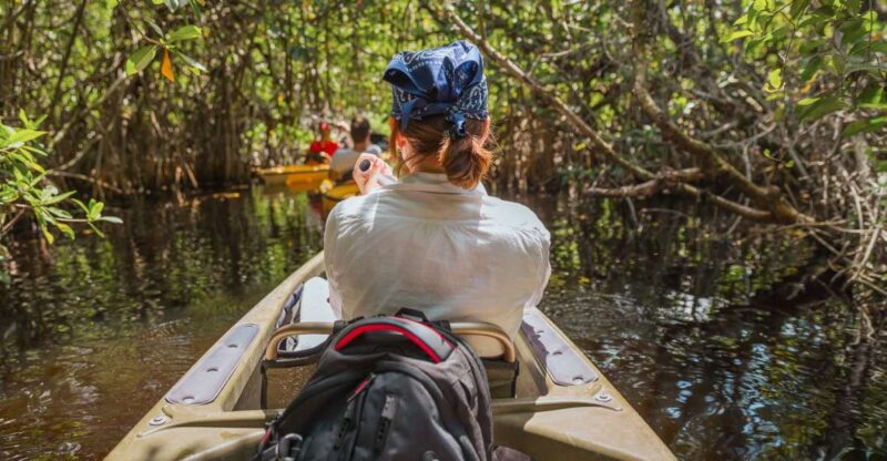 Everglades National Park: Mangrove Tunnel Kayak Eco-Tour - Deep Dive Into the Itinerary
