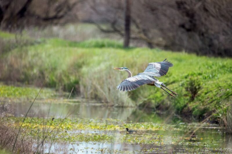 Everglades National Park: Mangrove Tunnel Kayak Eco-Tour - The Value for Money