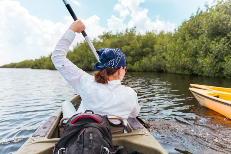 Everglades National Park: Mangrove Tunnel Kayak Eco-Tour - Who Should Consider This Tour?