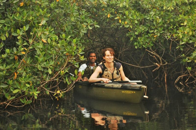 Everglades National Park: Mangrove Tunnel Kayak Eco-Tour - FAQ