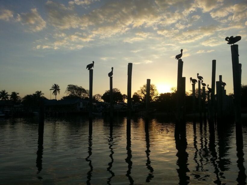 Everglades National Park: Motorboat Eco Tour - Key Points
