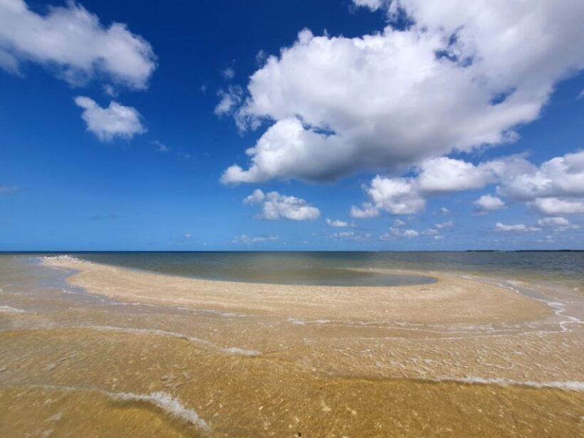 Everglades National Park: Motorboat Eco Tour - Final Thoughts: Who Should Consider This Tour?