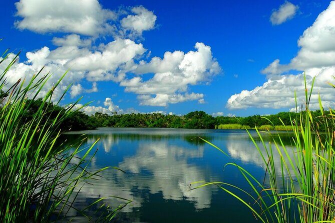 Everglades National Park Self-Guided Audio Tour - The Sum Up: Is This Tour Worth It?