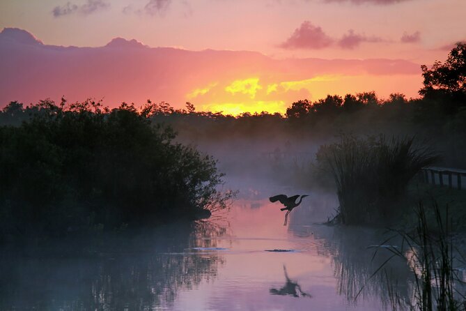 Everglades National Park Self Guided Driving Audio Tour - The Experience: What You Can Expect