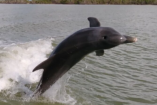 Everglades National Park Small Group Guided Boating and Walking Expedition - What the Tour Offers: An In-Depth Look