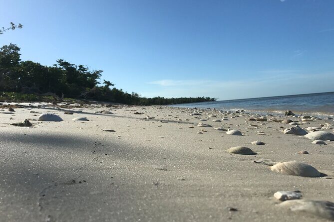Everglades National Park Small Group Guided Boating and Walking Expedition - Final Thoughts
