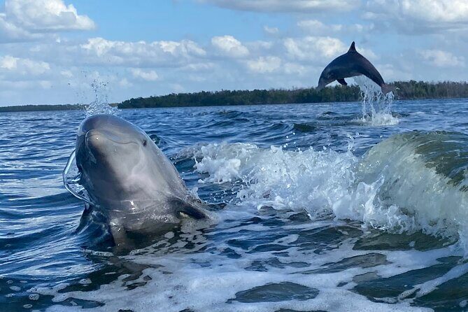 Everglades National Park Small Group Guided Boating and Walking Expedition - Frequently Asked Questions