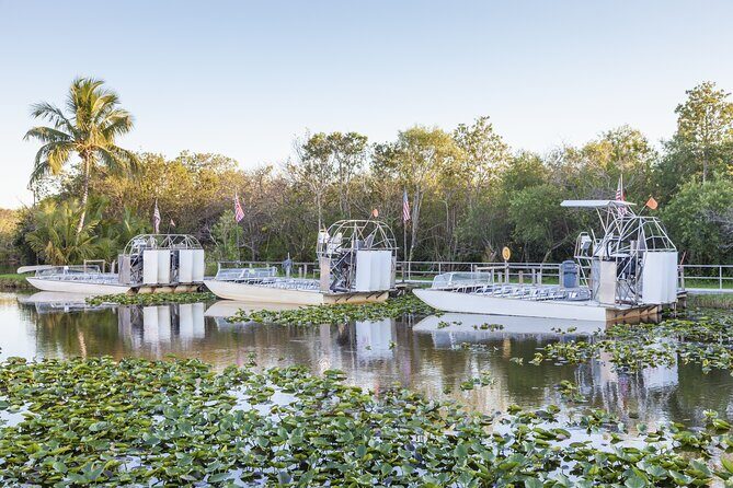 Everglades Park from Miami with Roundtrip Transportation - A Closer Look at the Experience