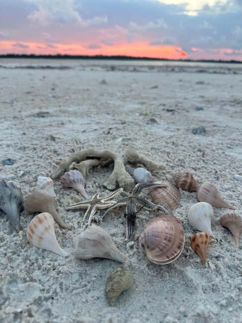Everglades Pirate and Beach Adventure - An In-Depth Look at the Everglades Pirate and Beach Adventure