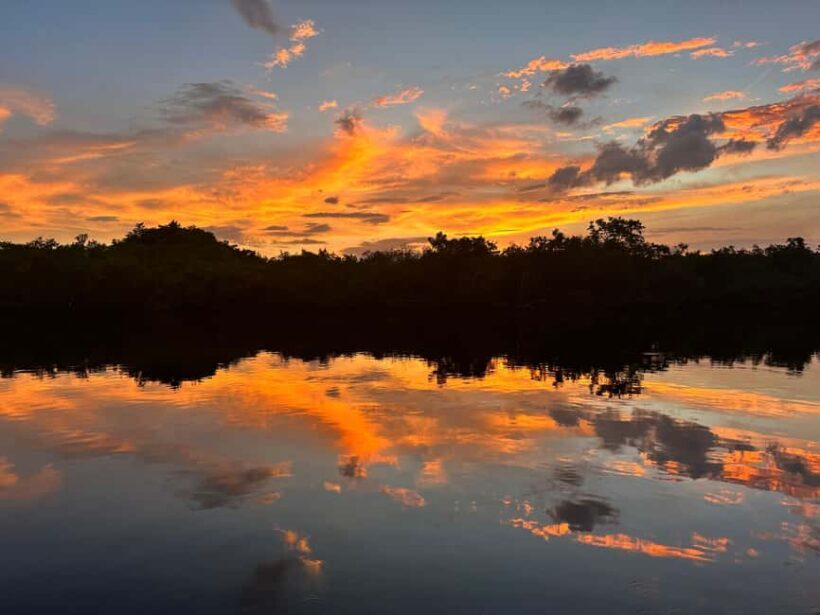Everglades Pirate and Beach Adventure - Who Will Love This Tour?
