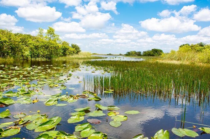 Everglades Small Group Express from Fort Lauderdale +Airboat Ride - Transportation and Group Size