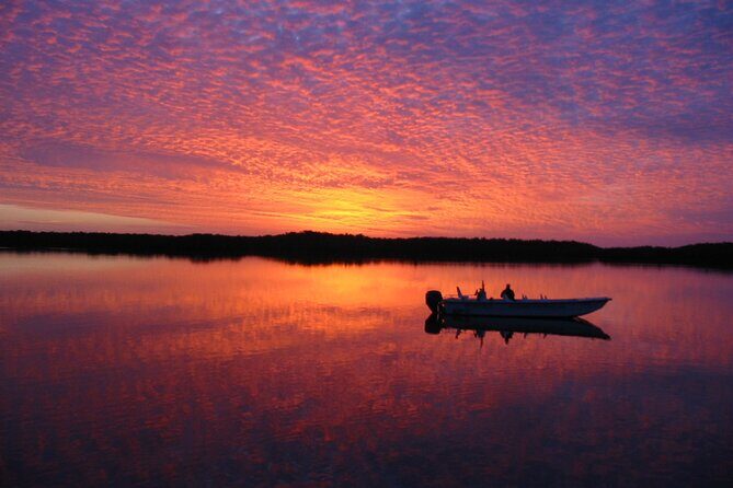 Everglades Small Group Guided Boating and Walking Expedition - An Introduction to the Everglades Small Group Tour