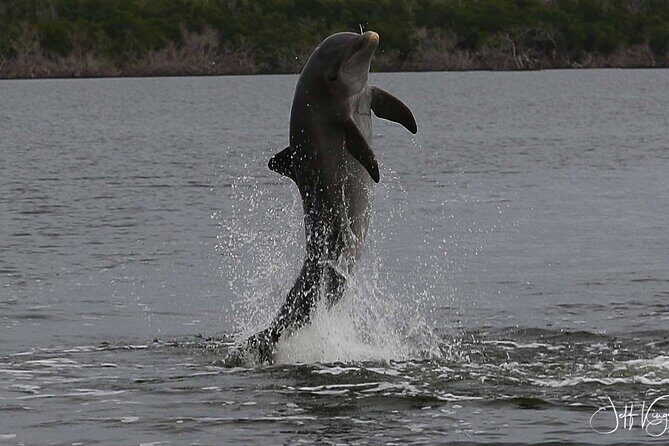 Everglades Small Group Guided Boating and Walking Expedition - Practical Tips for Travelers