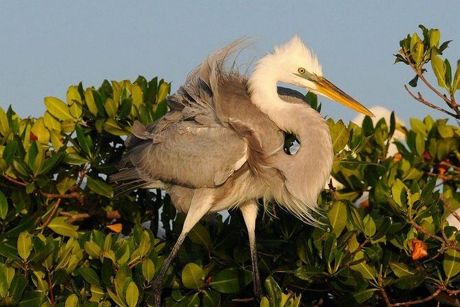 Everglades Small Group Guided Boating & Walking Tour Expedition - Who Should Consider This Tour?