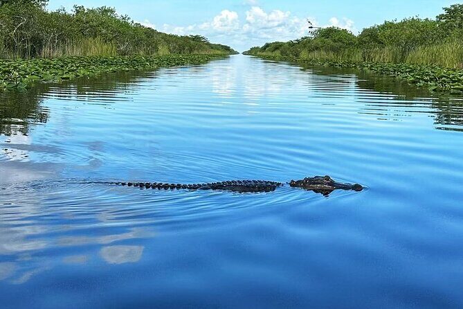 Everglades Tour from Miami with Transportation - The Sum Up