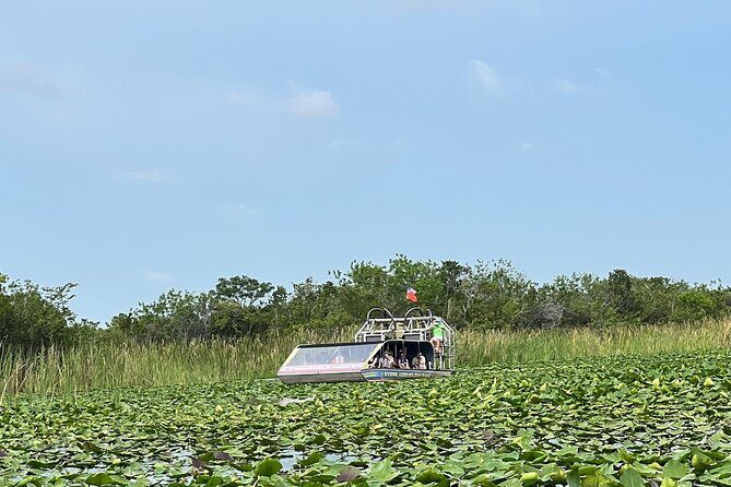Everglades Tour from Miami with Transportation - FAQ