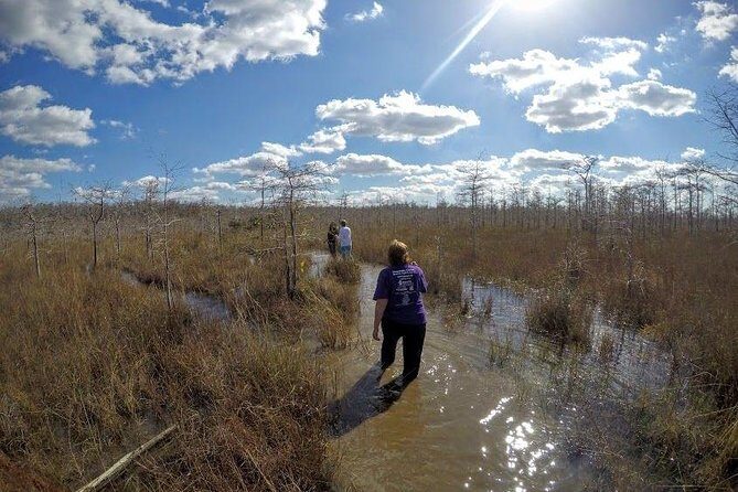 Everglades Tour w/ Biologist Led WET walk + 2 Boat Trips + Lunch! - An Introduction to the Tour’s Core Attractions