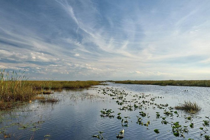 Everglades Tour W/ Biologist Led WET Walk + 2 Boat Trips + Lunch! - Participant Feedback