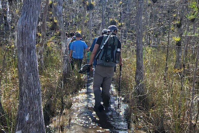 Everglades Tour W/ Biologist Led WET Walk + 2 Boat Trips + Lunch! - Cancellation Policy
