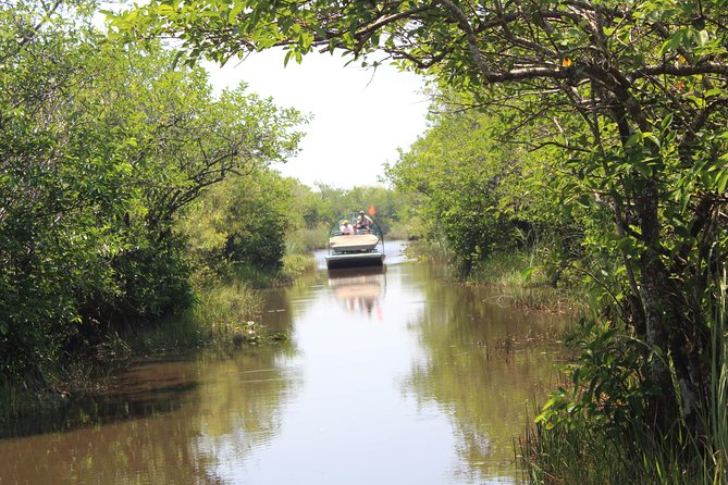 Everglades Tour with professional Tourguide inclusive pickup - Authentic Encounters and Wildlife Watching