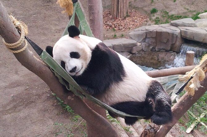 EVERLAND "From Hotel to Hotel" [Premium Private Tour: Only One Group for You] - The Sum Up