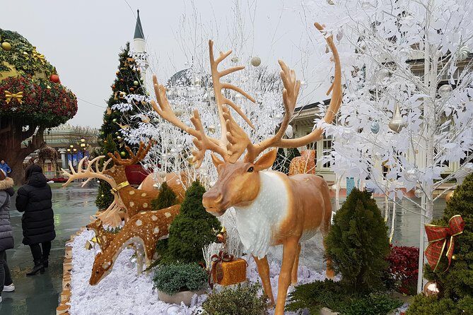 Everland Private Shuttle "Total Private Tour: More Members Less Cost" - The Sum Up