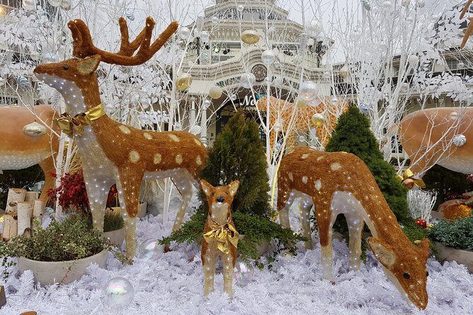 Everland Private Shuttle "Total Private Tour: More Members Less Cost" - FAQ