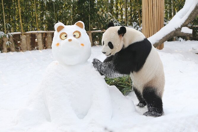 Everland Theme Park Admission Ticket with Transfer from Seoul - Who Will Love This Tour?