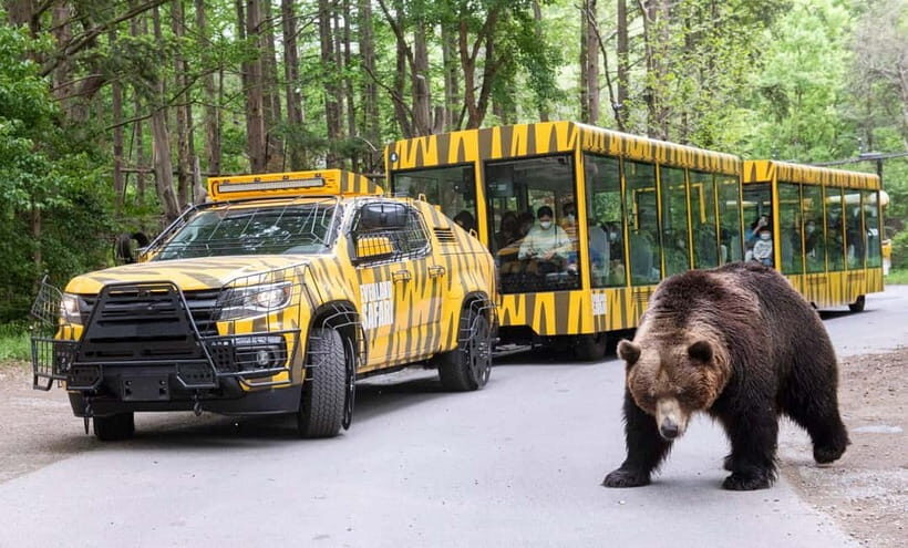 Everland Tour with Shuttle:Fast Panda World Entry(Ends 8/31) - Key Points