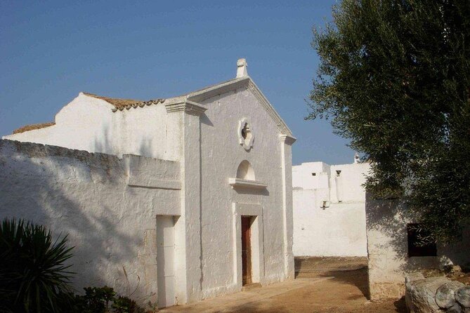 EVO Oil Tasting in Masseria in Ostuni - Key Points