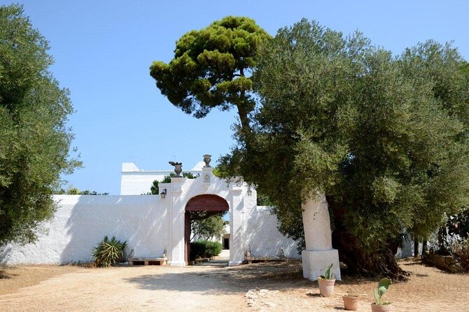 EVO Oil Tasting in Masseria in Ostuni - What to Keep in Mind