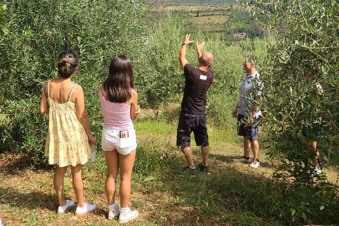 Evo Oil Tasting School with Blindfolded Tasting and Lunch - Discovering the Evo Oil Tasting School in Chianti: A Practical, Authentic Experience