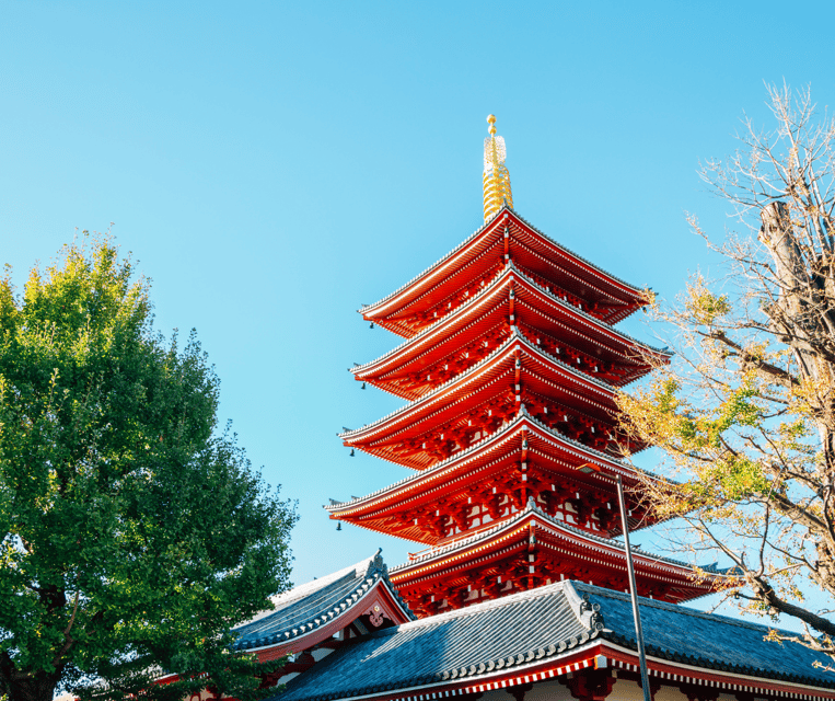 Evolution35 Japan: 7-Day Guided Tour With Hotel - Optional Tours