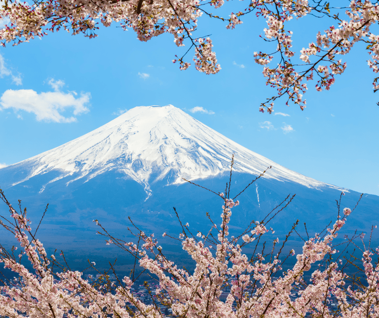 Evolution35 Japan: 7-Day Guided Tour With Hotel - Additional Information