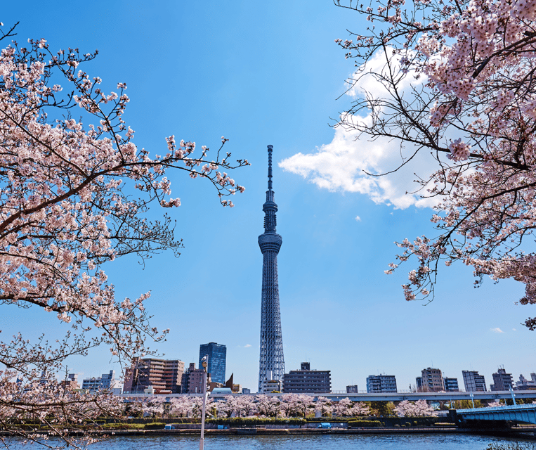 Evolution35 Japan: 7-Day Guided Tour With Hotel - Reservation and Payment