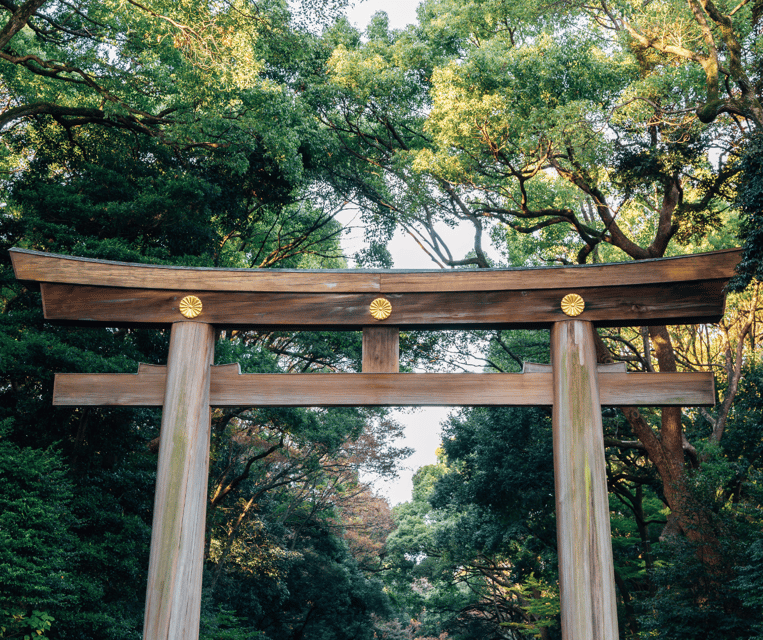 Evolution35 Japan: 7-Day Guided Tour With Hotel - Frequently Asked Questions