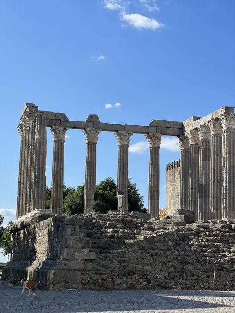 Évora: Ancient Roman Temple & Kings Christ Tour - Is it a Good Value?