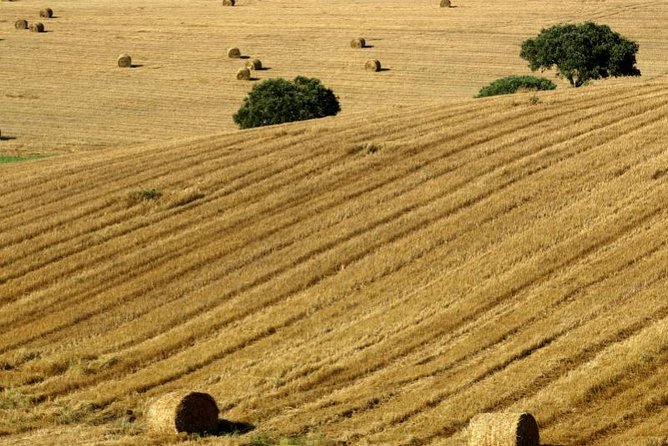 Évora and Megaliths Tour: A Review - Guided Experience