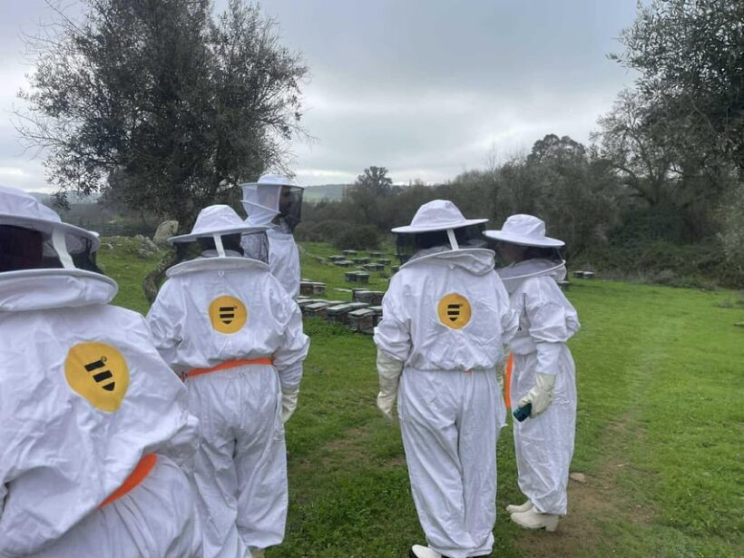 Évora or Montemor: Beekeeping, Chocolate factory, Wine tasting - Key Points