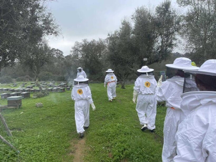 Évora or Montemor: Beekeeping, Chocolate factory, Wine tasting - A Practical Guide to the Tour Experience