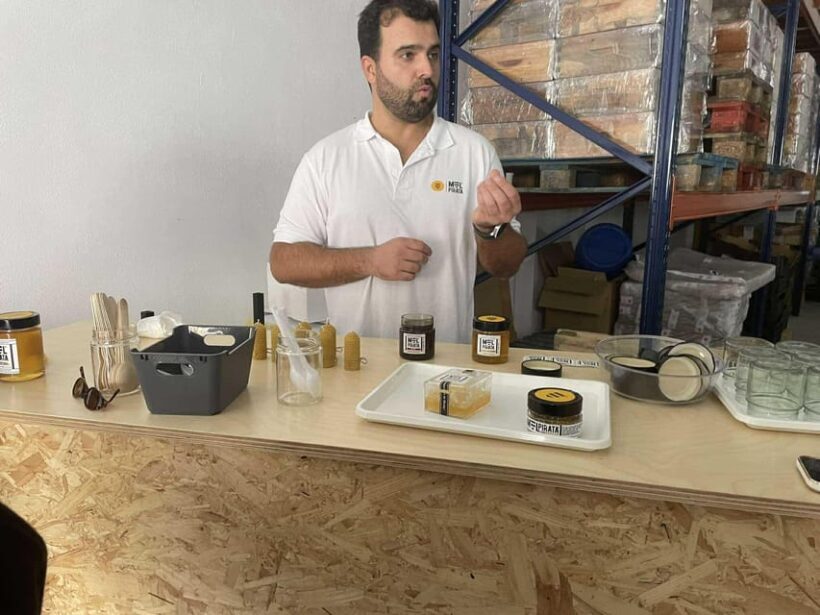 Évora or Montemor: Beekeeping, Chocolate factory, Wine tasting - FAQ