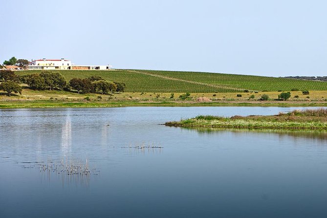 Evora Private Full Day Tour from Lisbon - Frequently Asked Questions