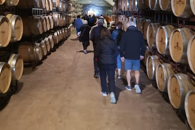 Évora Private Tour - Cork Factory and Wine Estate Included - Indulging in the Local Wine Tasting