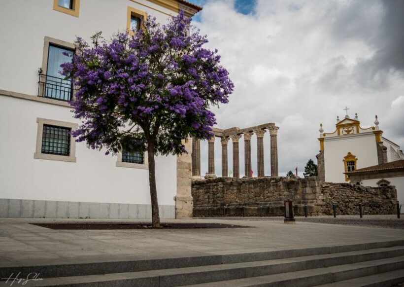 Évora: Tales and Legends Guided Walking Tour - Why This Tour Is Worth Considering