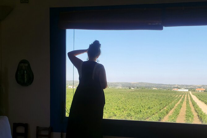 Evora Wine & Cork Experience - Key Points