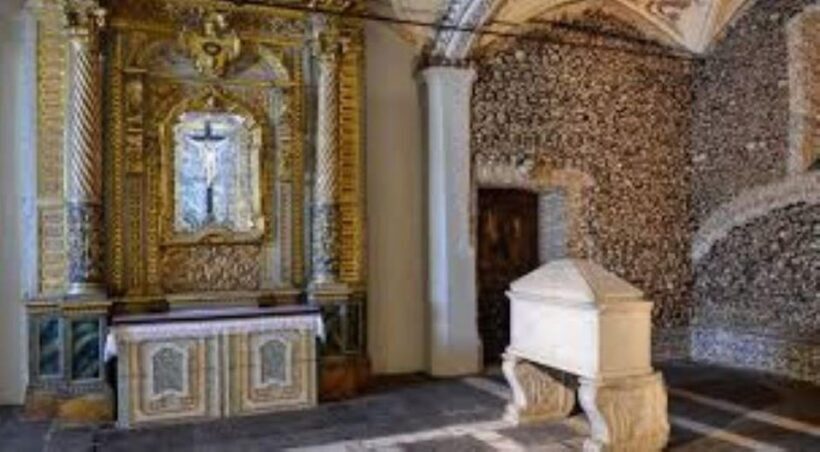 Evora: Wine Tasting and culture Tour - A Deep Dive into the Évora Experience