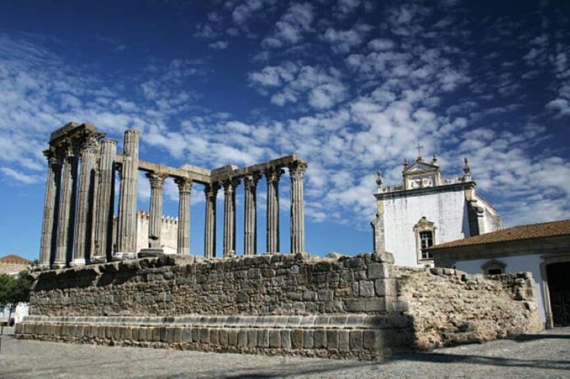 Evora: Wine Tasting and culture Tour - Who Will Love This Tour?