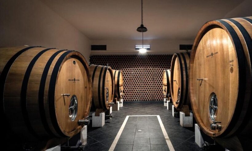 Evora, Winery & Cork Factory: Full-day Private Transport - A Closer Look at the Tour Itinerary