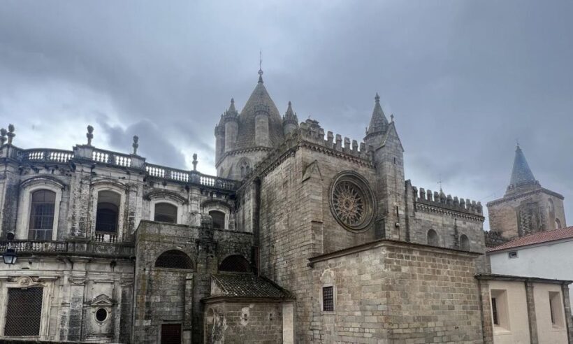 Evora, Winery & Cork Factory: Full-day Private Transport - Practical Tips & Considerations